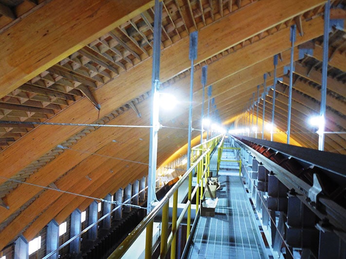 Horizontal Lifelines - OSHA Compliant | Diversified Fall Protection